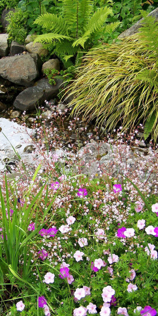 VISIT | Highline Seatac Botanical Garden